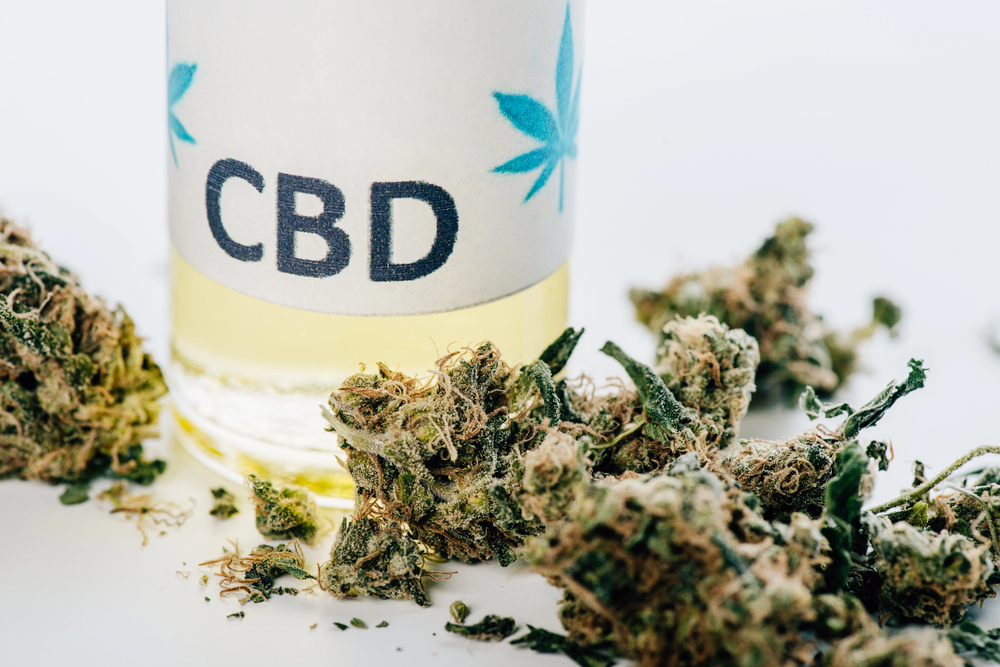 How CBD Works | CBD Buzz Report